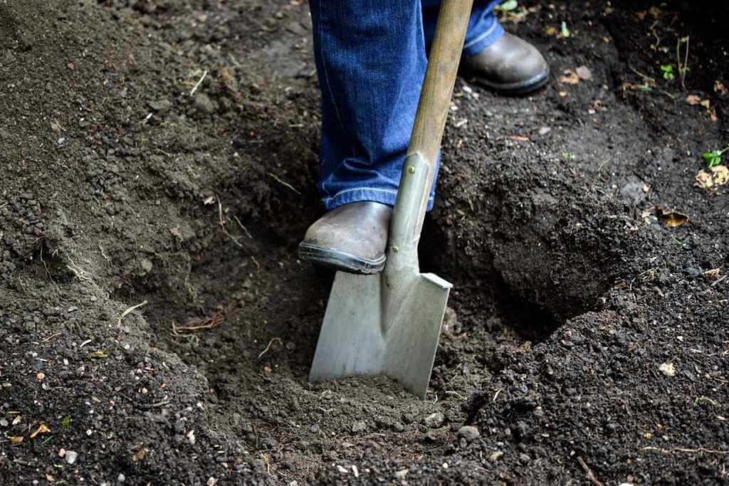 Xẻng xúc đất trồng cây là gì Hướng dẫn sử dụng xẻng xúc đất đúng cách