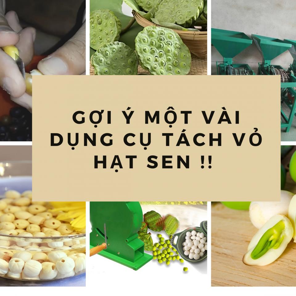 Một vài dụng cụ tách vỏ hạt sen bạn cần biết