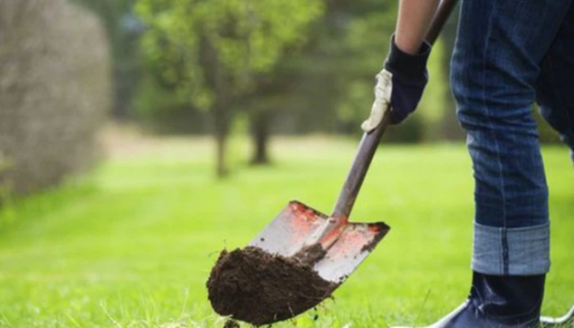 Xẻng xúc đất trồng cây là gì Hướng dẫn sử dụng xẻng xúc đất đúng cách